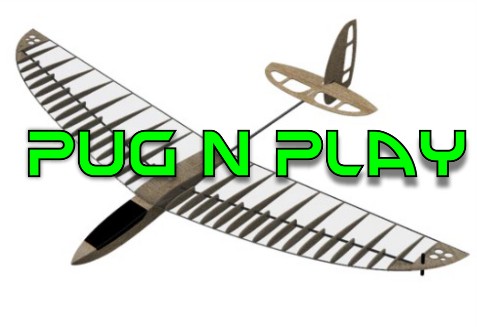 Pug DLG – Angelwing designs